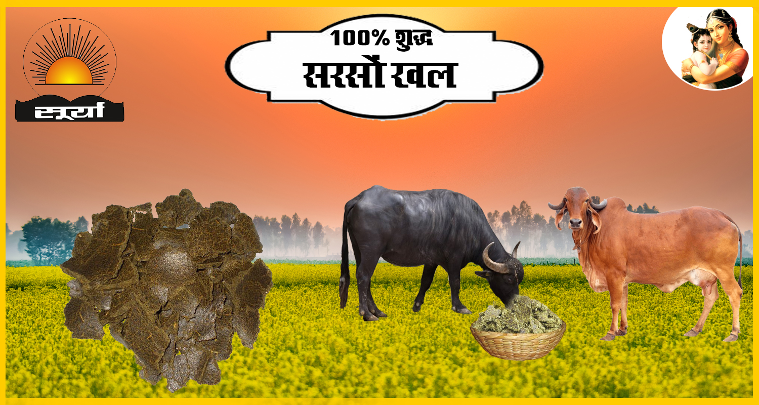 Surya Mastard Oil – Manish Oil Products Agmark Grade-1 Mustard Oil ...